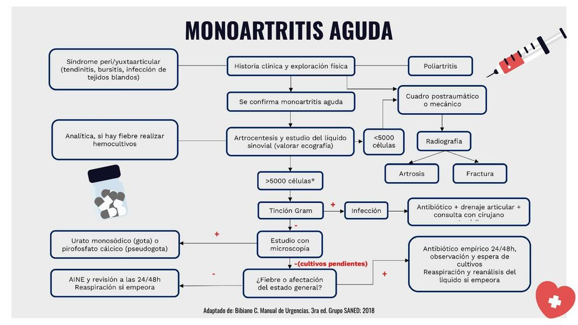 Diagnóstico de monoartritis aguda | Alejandro | uDocz
