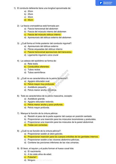 Pelvis Y Perine Sophia Barrera Udocz