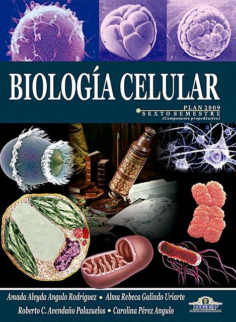 Biologia Celular