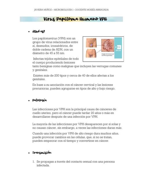 Virus papiloma humano VPH | JAVIERA IGNACIA MUÑOZ TOBAR | uDocz