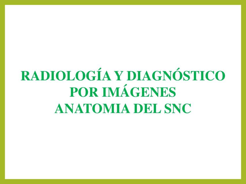 14 Anatomía del SNC | LiquidOH愛 | uDocz