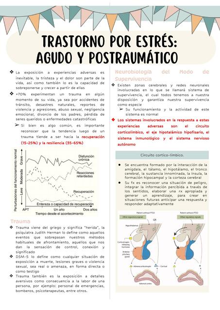 Trastorno por estrés: agudo y postraumático | Medicomely | uDocz
