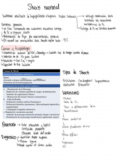 Shock neonatal y manejo | Chiqui Rojita | uDocz