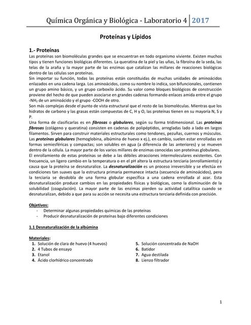 Laboratorio: Proteínas, Ácidos y Lípidos | Aprende Todo de Medicina | uDocz