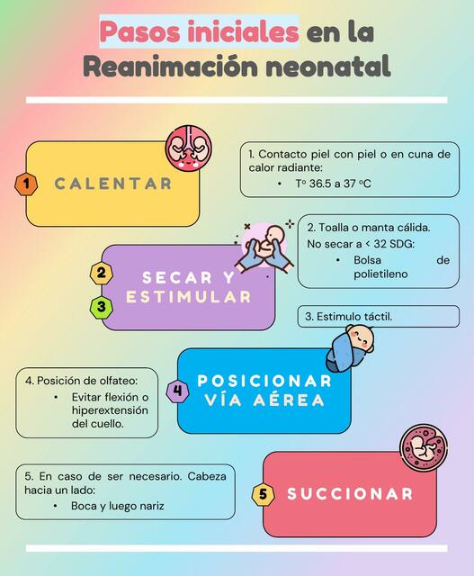 Pasos iniciales al nacimiento de un bebe | Javier Rios | uDocz