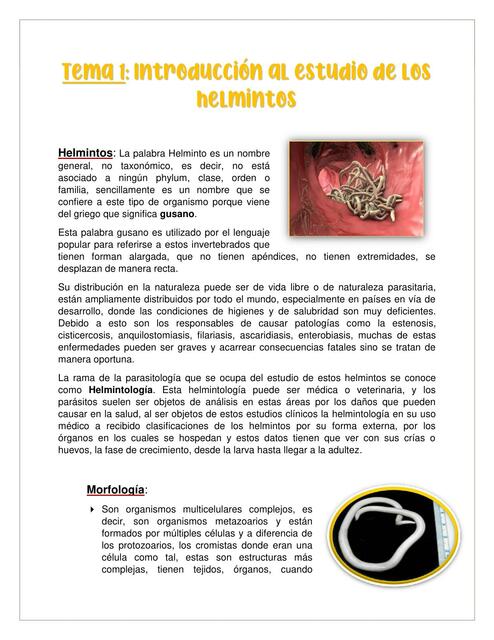 Introducción a los Helmintos | Morelia Centeno | uDocz