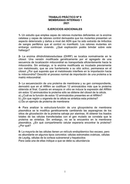 Membranas Internas | Yemima Gamarra | uDocz