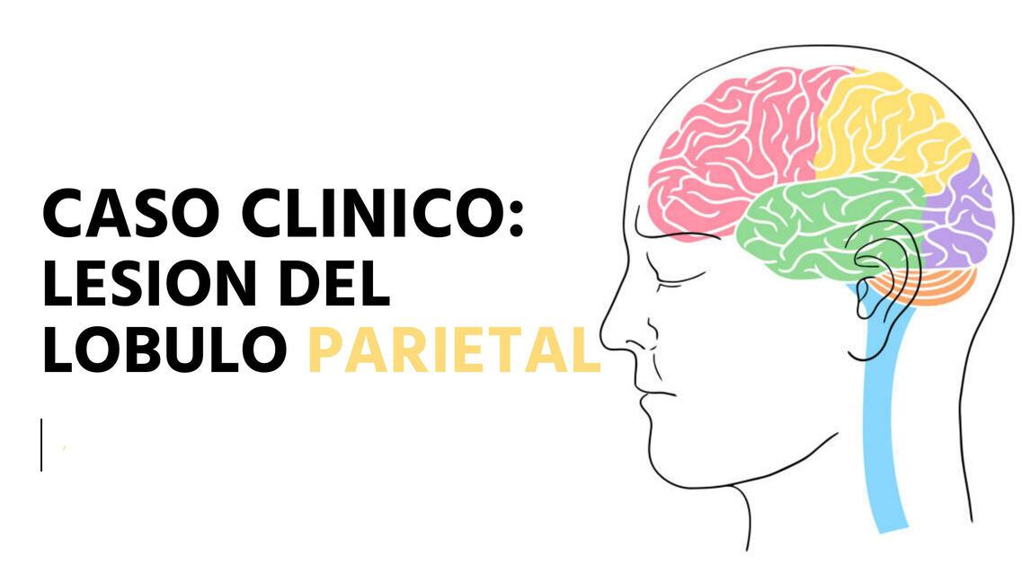 Caso Clínico: Lesiones del Lóbulo Parietal | Yobeli Hernandez | uDocz
