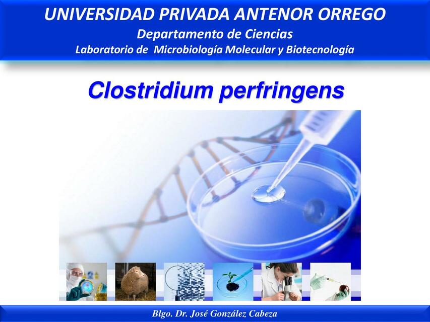 Clostridium Perfringens | Erwin Escobar Ordinola | uDocz
