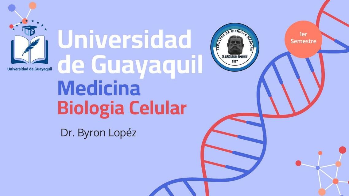 Exposición Biología Celular Grupo Enzimas | Meyverlyn Velez | uDocz
