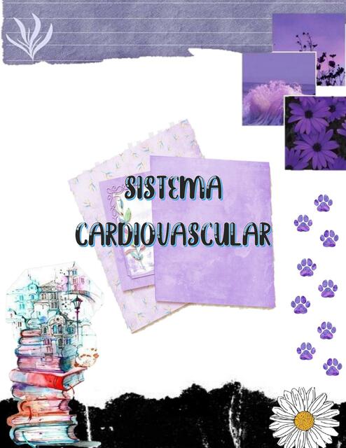Sistema Cardiovascular | Briza Revollo | uDocz Sistema Cardiovascular | Briza Revollo | uDocz