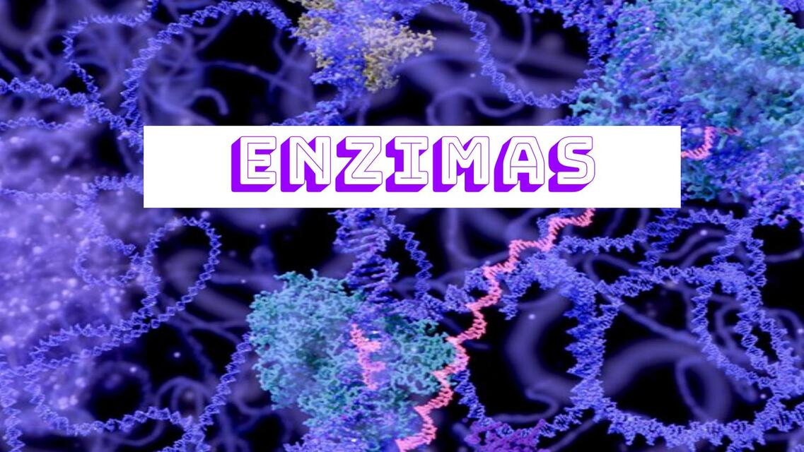 Enzimas | med.apuntes | uDocz