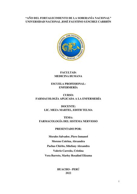 Monografía Del Sistema Nervioso Nursingcvc Udocz 1317