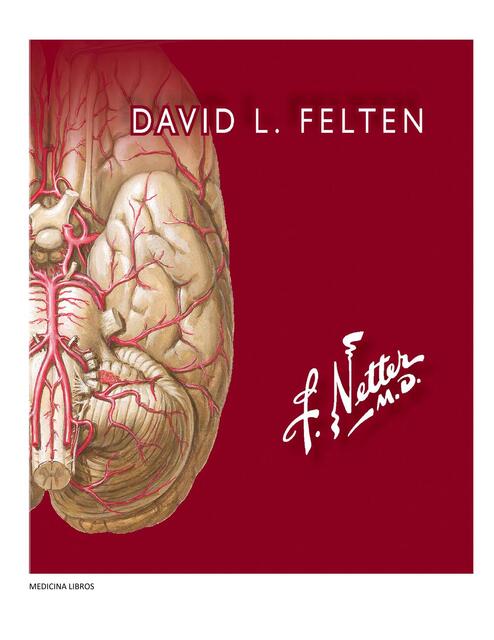 Netter Flashcards neurociencias | Denisse Camvel - Nutricionista - esp ...