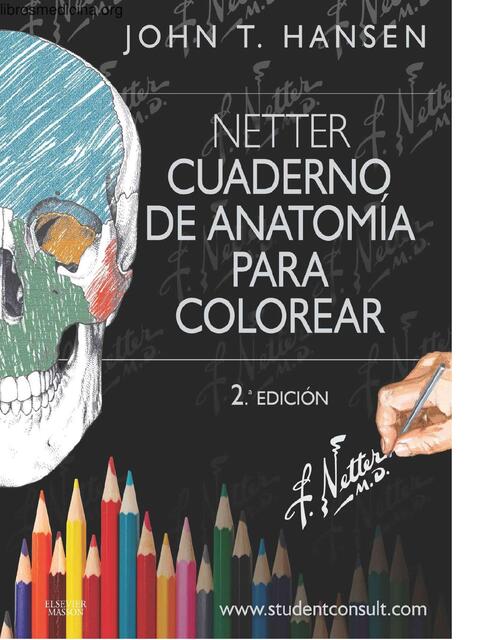 Anatomía | uDocz