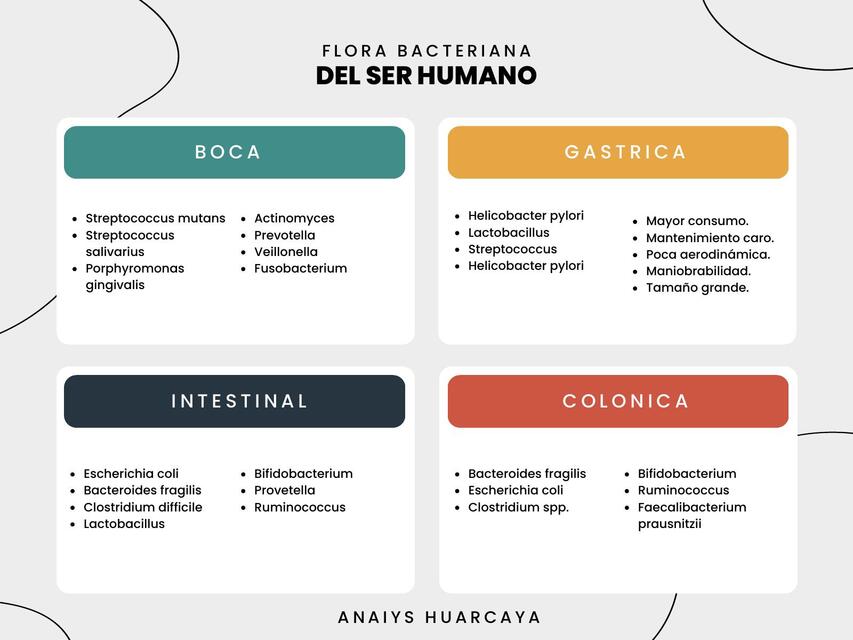 Flora bacteriana del ser humano | Anaiys Huarcaya | uDocz