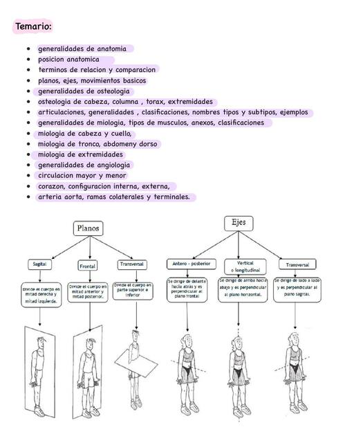 Resumen Prueba | Fernanda Tejos | uDocz