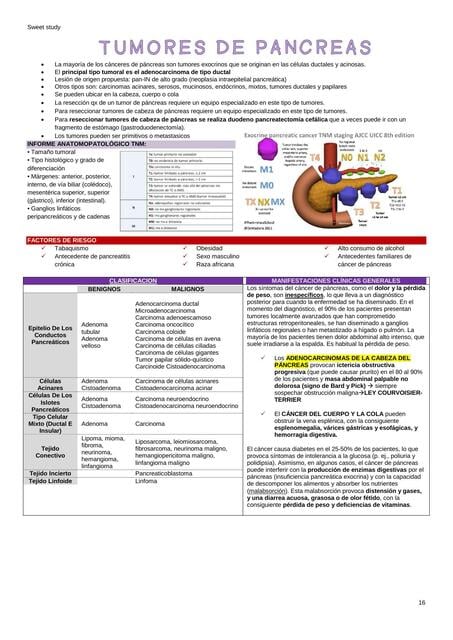 Tumores del páncreas | Sweet Study | uDocz