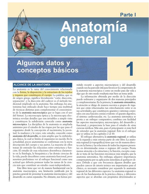 Anatomía veterinaria | uDocz