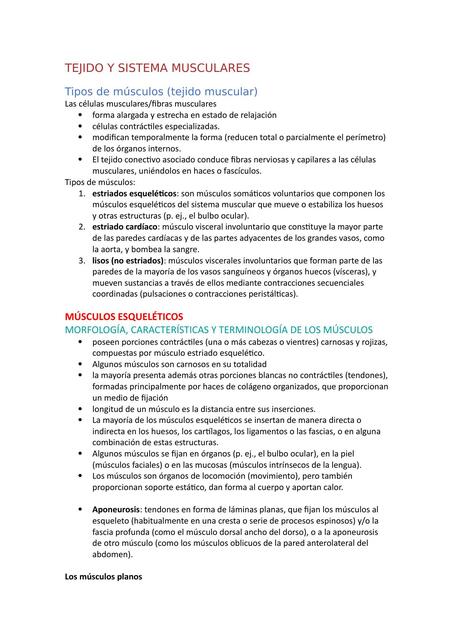 Resumen capítulo 1 Tejido y sistemas musculares Anatomía con Orientación Clínica | Todo sobre ...