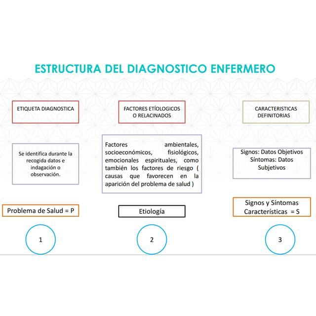 Estructura Del Dx Nursing Apuntes Udocz
