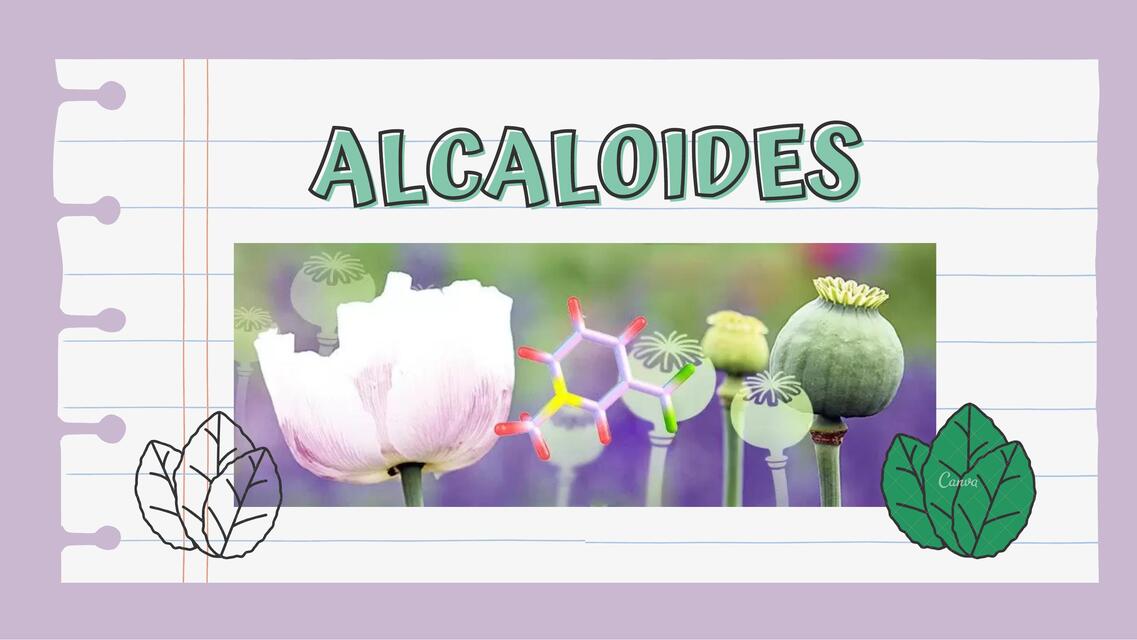 Alcaloides | med.apuntes | uDocz