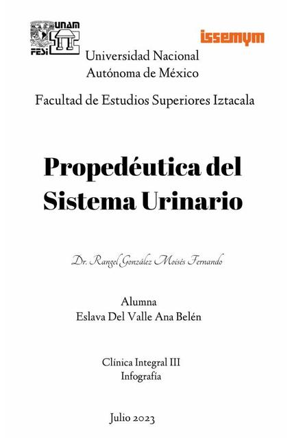 Propedéutica del Sistema Urinario | Ana Eslava Del Valle | uDocz