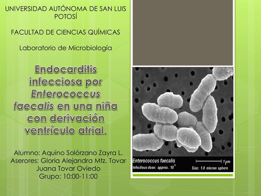 Endocarditis Infecciosa por Enterococcus Faeclis en una Niña con ...