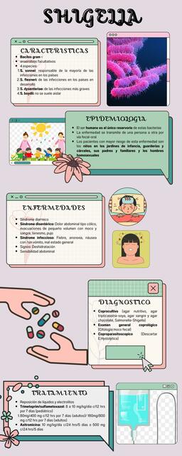 Shigella | SnoopyMed | uDocz