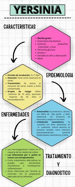Yersinia | SnoopyMed | uDocz