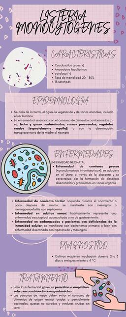 Listeria monocytogenes | SnoopyMed | uDocz