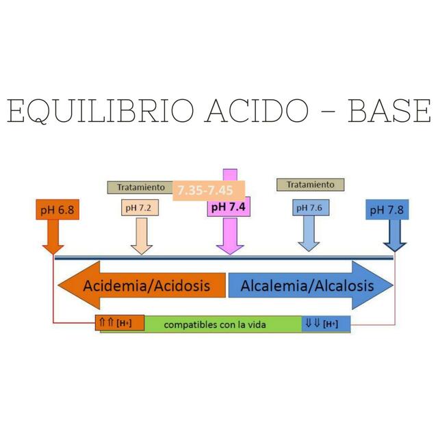 Equilibrio Ácido Base Nursing Apuntes Udocz