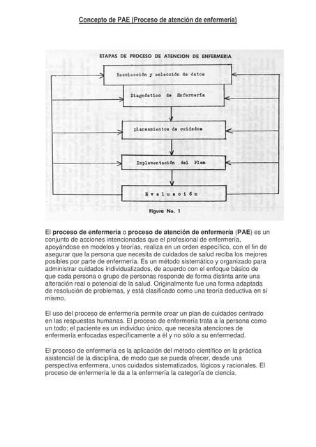 Concepto de PAE | Candylu_____study | uDocz