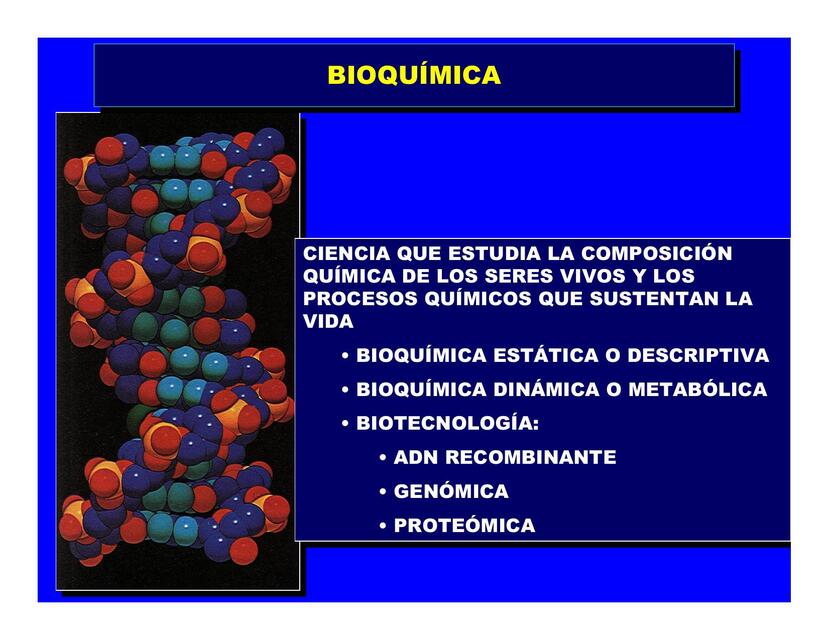 Bioquímica | Raul Espinal Valladares | uDocz