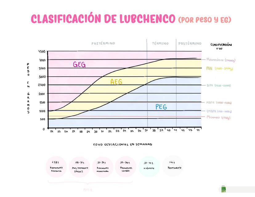 Lubchenco (Clasificación por peso y clasificación por edad gestacional ...