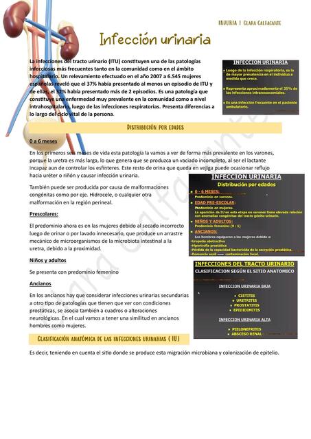 Infección urinaria - MIcrobiologia | Clara Calfacante | uDocz