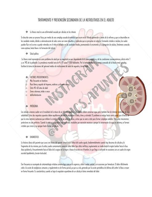 Nefrolitiasis renal | Medics Apuntes | uDocz