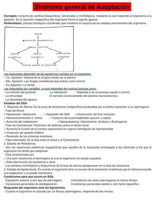 Síndrome general de adaptación | RoseMedScience ( Rose Mary Favier ...