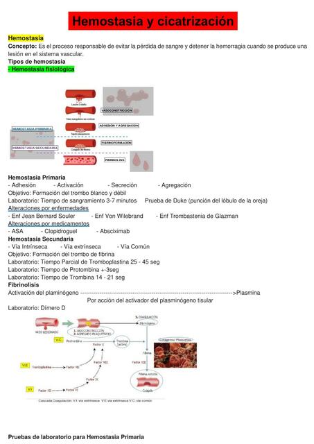 Hemostasia y cicatrización | RoseMedScience ( Rose Mary Favier ) | uDocz