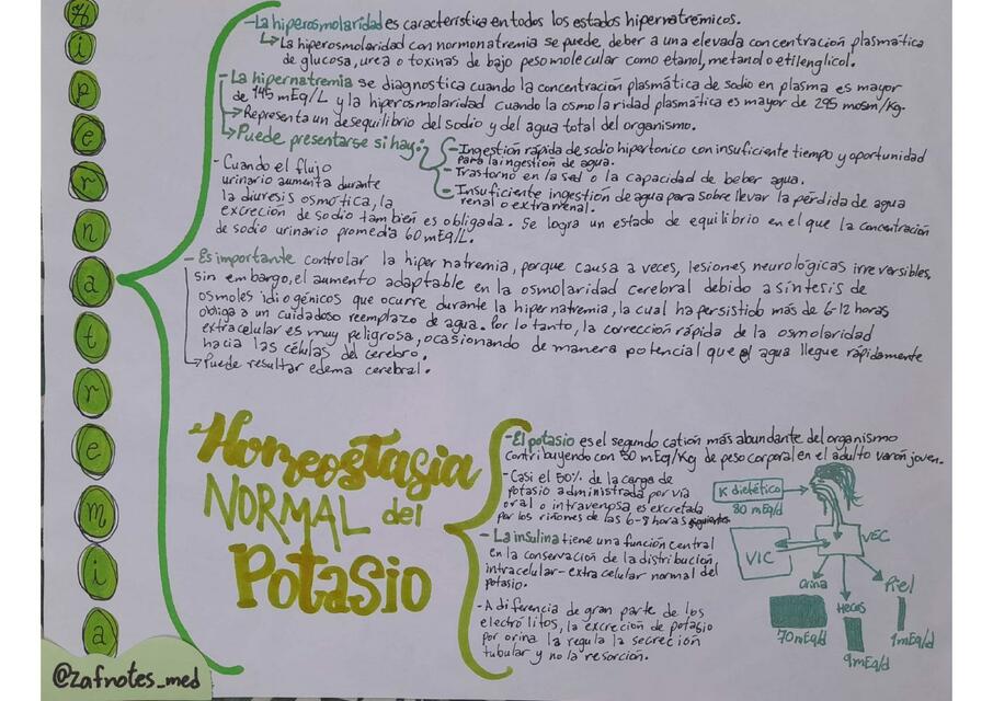 Hipernatremia | Yuleisy Roque Garcia | uDocz