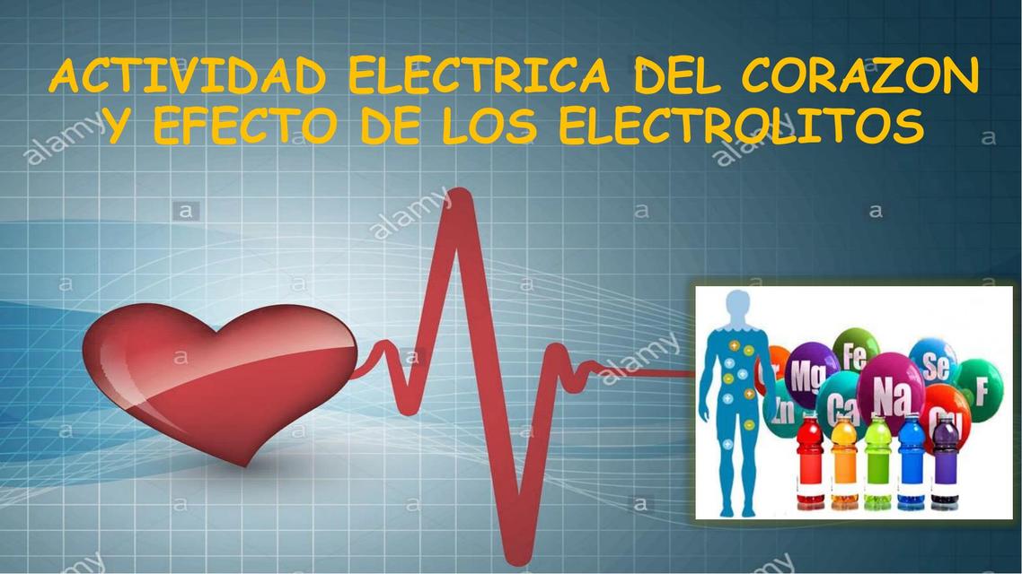 ACTIVIDAD ELECTRICA DEL CORAZON Y EFECTO DE LOS ELECTROLITOS