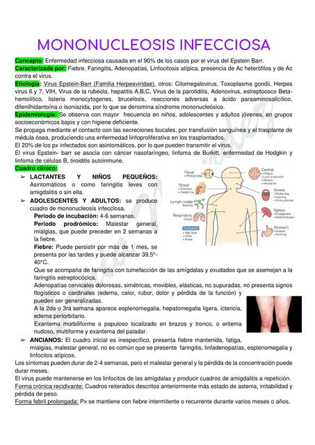 Mononucleosis Infecciosa | Johana | uDocz