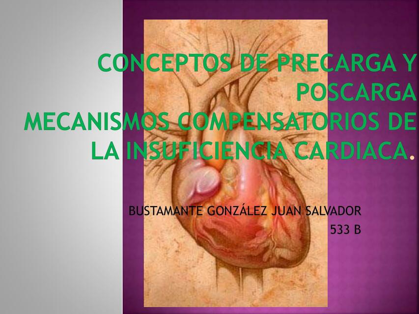 Resúmenes de Precarga y postcarga | Descarga apuntes de Precarga y ...