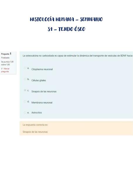 Histología S3 LECTURA Sistema Óseo | Briggitte Yamilé Suarez Esteban | uDocz