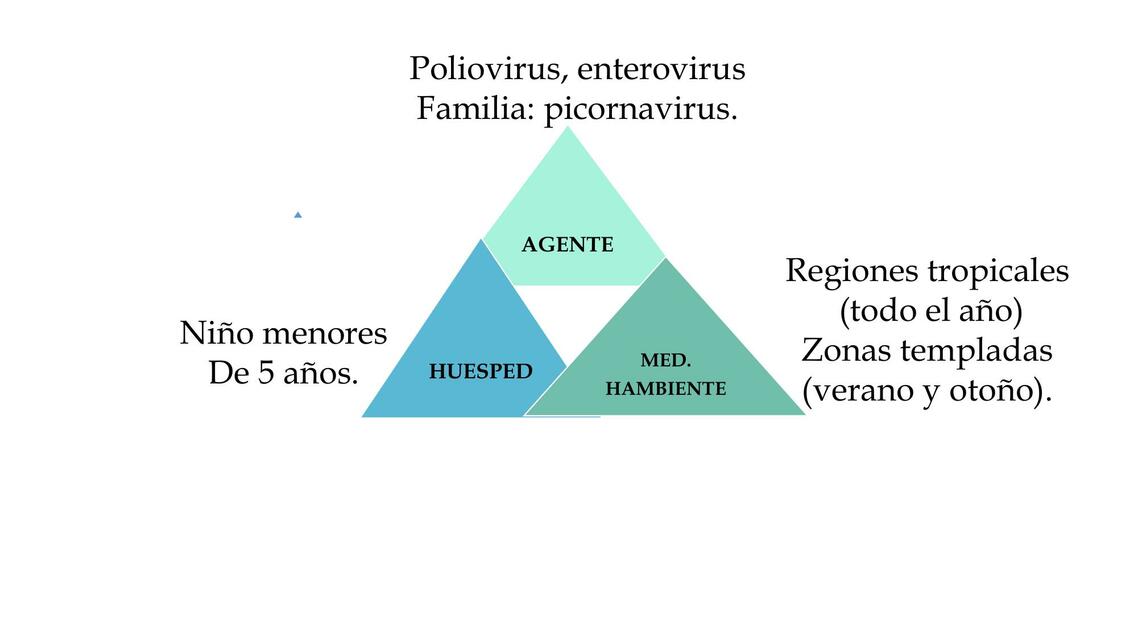 Triángulo epidemiologia | vanesa Chavez | uDocz