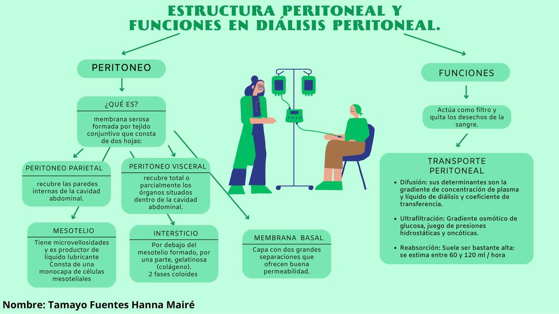 Estructura Peritoneal y Funciones en Diálisis Peritoneal | Hanna Mairé | uDocz