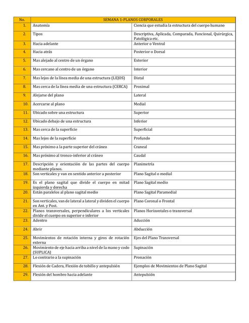 Planos corporales | Diana Raquel Menjivar Claros | uDocz