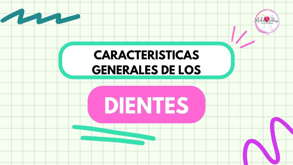 Características generales de los dientes | Michelle Pedroza | uDocz
