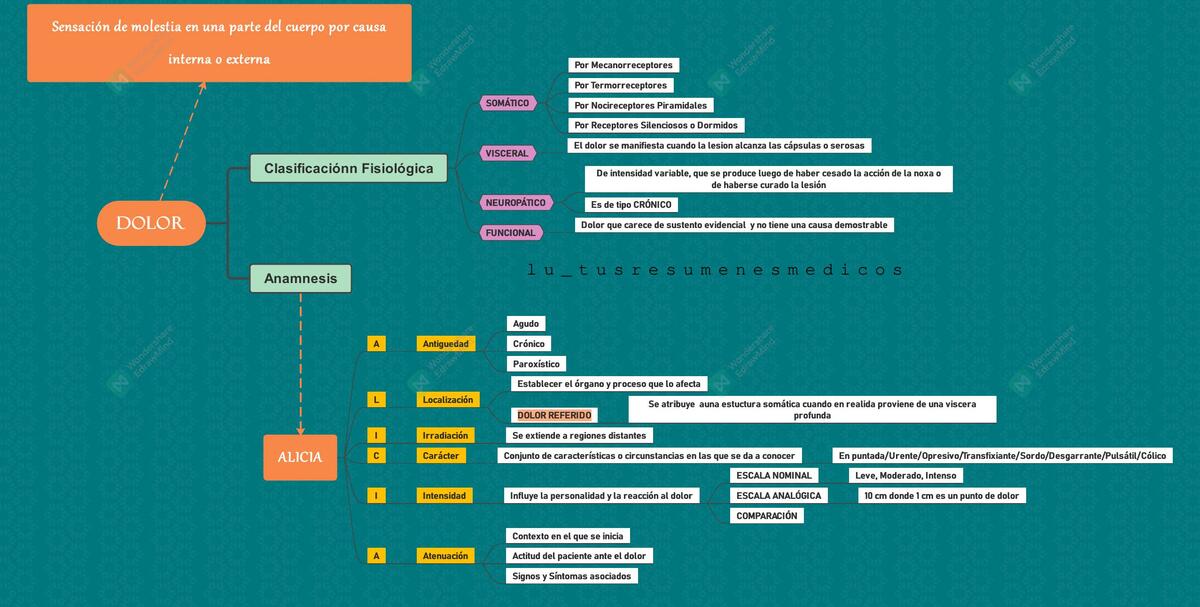 Dolor Lu Tusresumenesdiarios Udocz