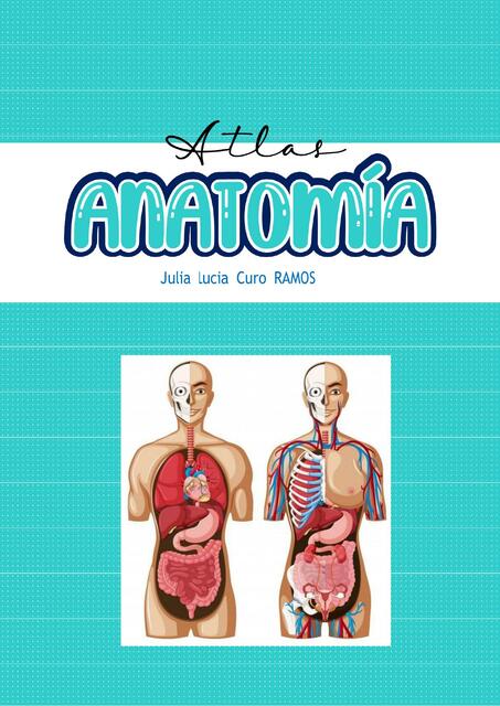 Atlas de Anatomía | Enfermería | uDocz